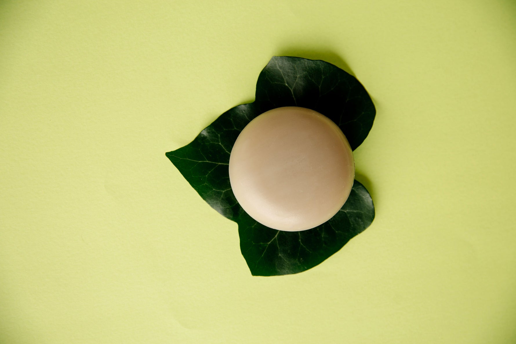 Platinum vuvu – Vuvu Türkiye